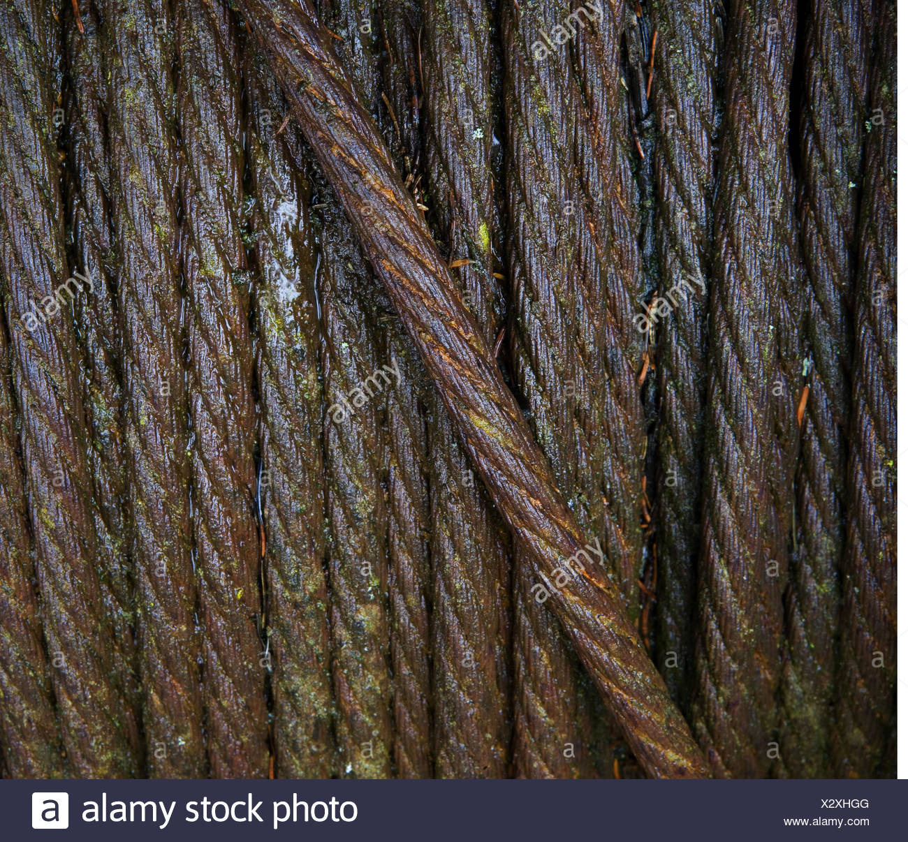 Role Rope High Resolution Stock Photography and Images - Alamy