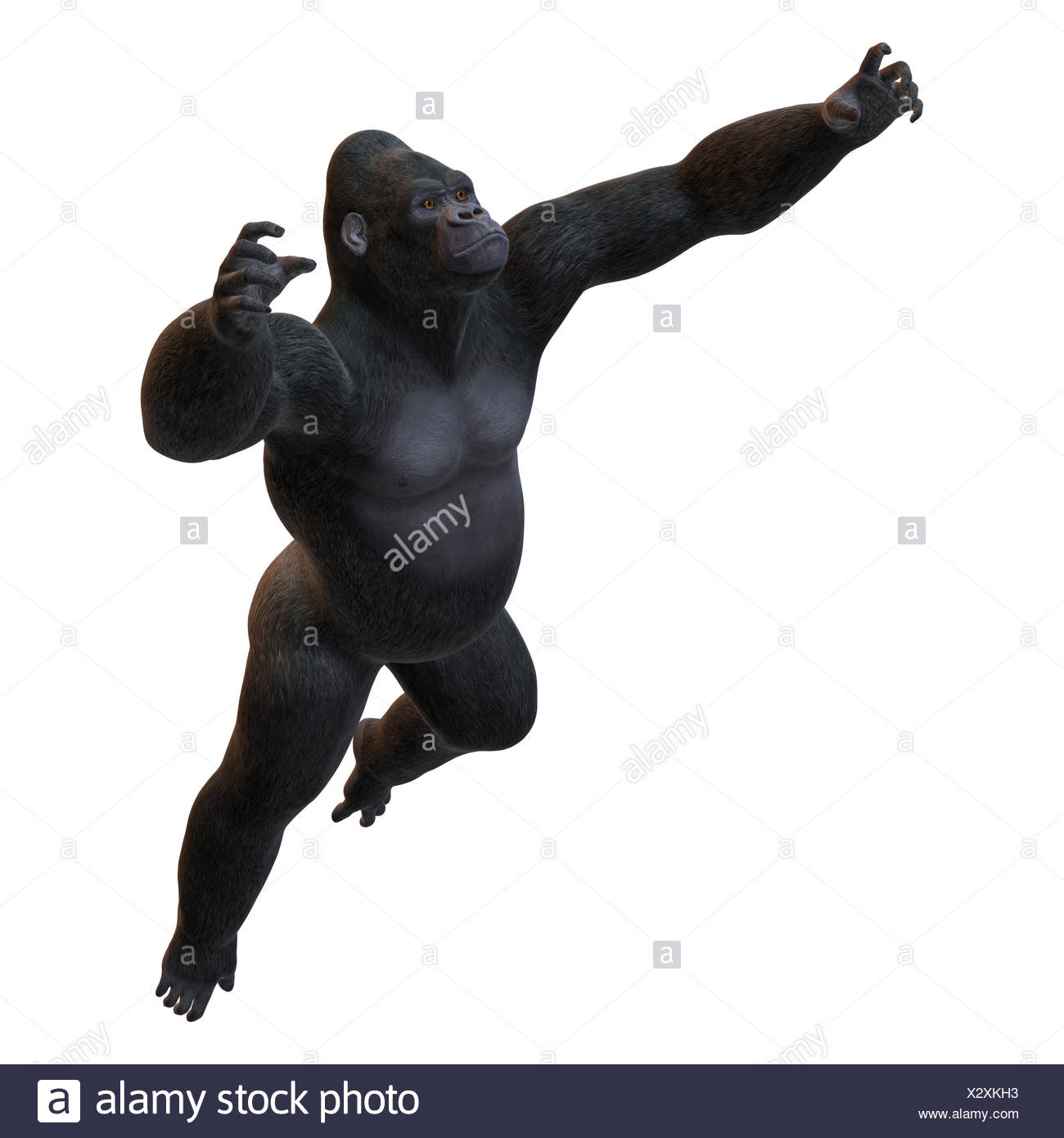 Ape Reaching High Resolution Stock Photography and Images - Alamy
