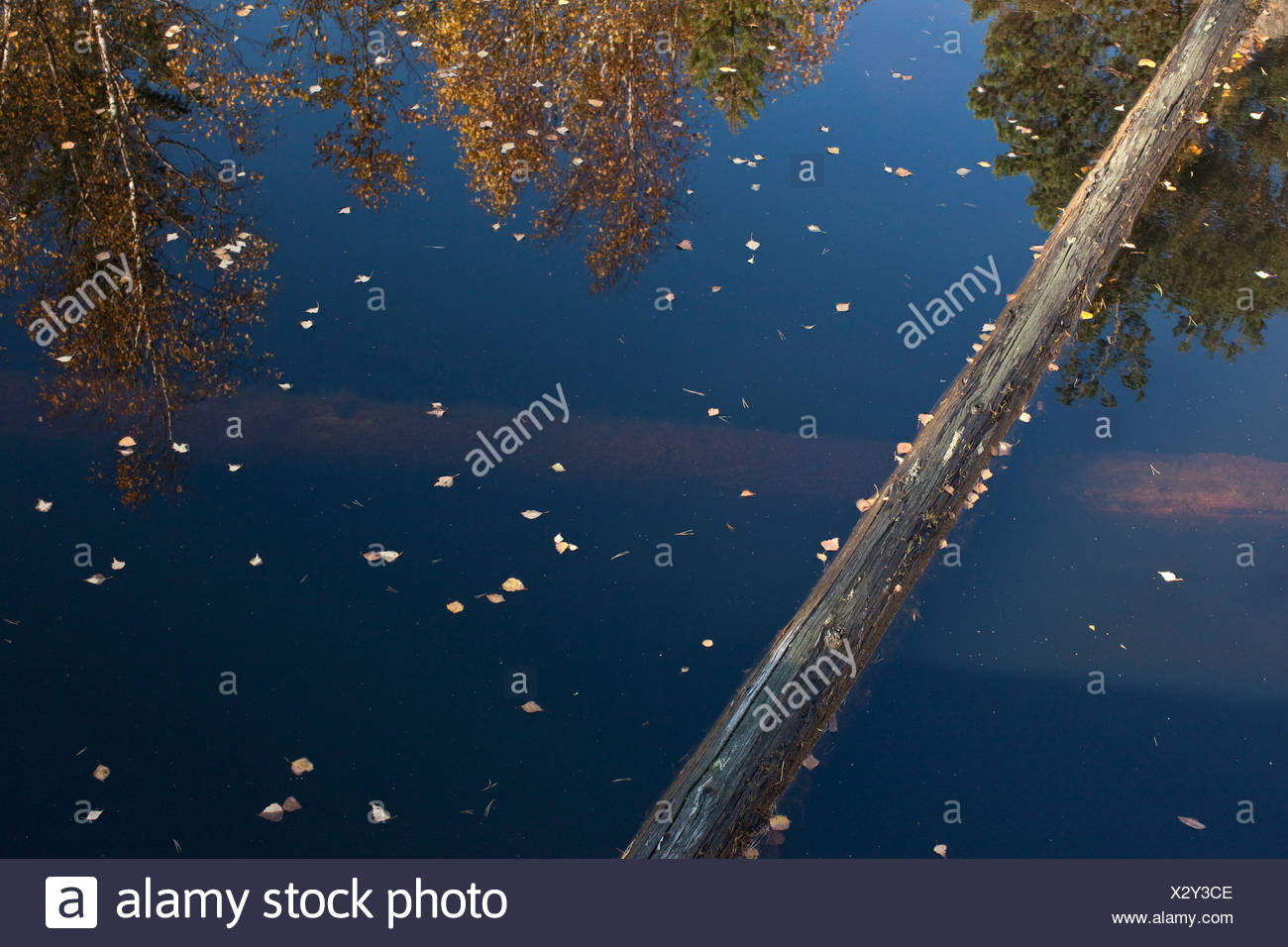 Log Floating High Resolution Stock Photography and Images - Alamy