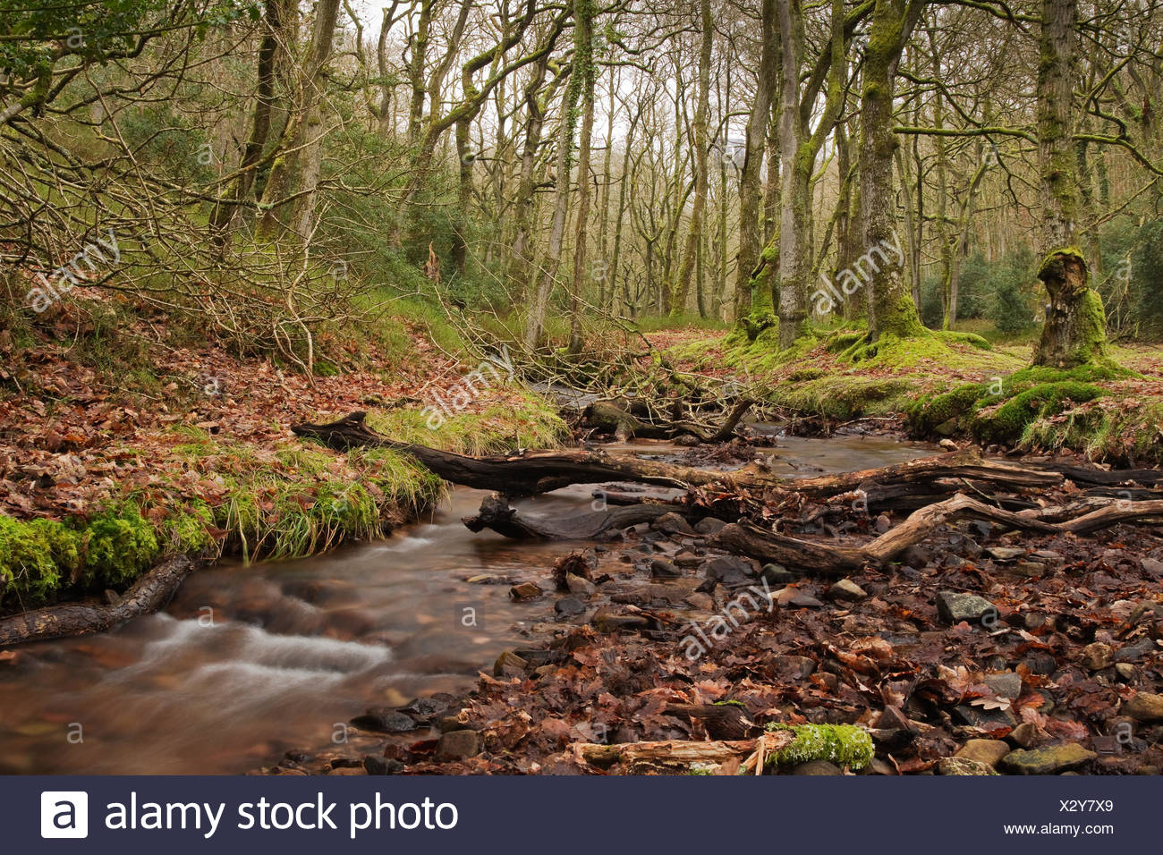 River Holford High Resolution Stock Photography and Images - Alamy