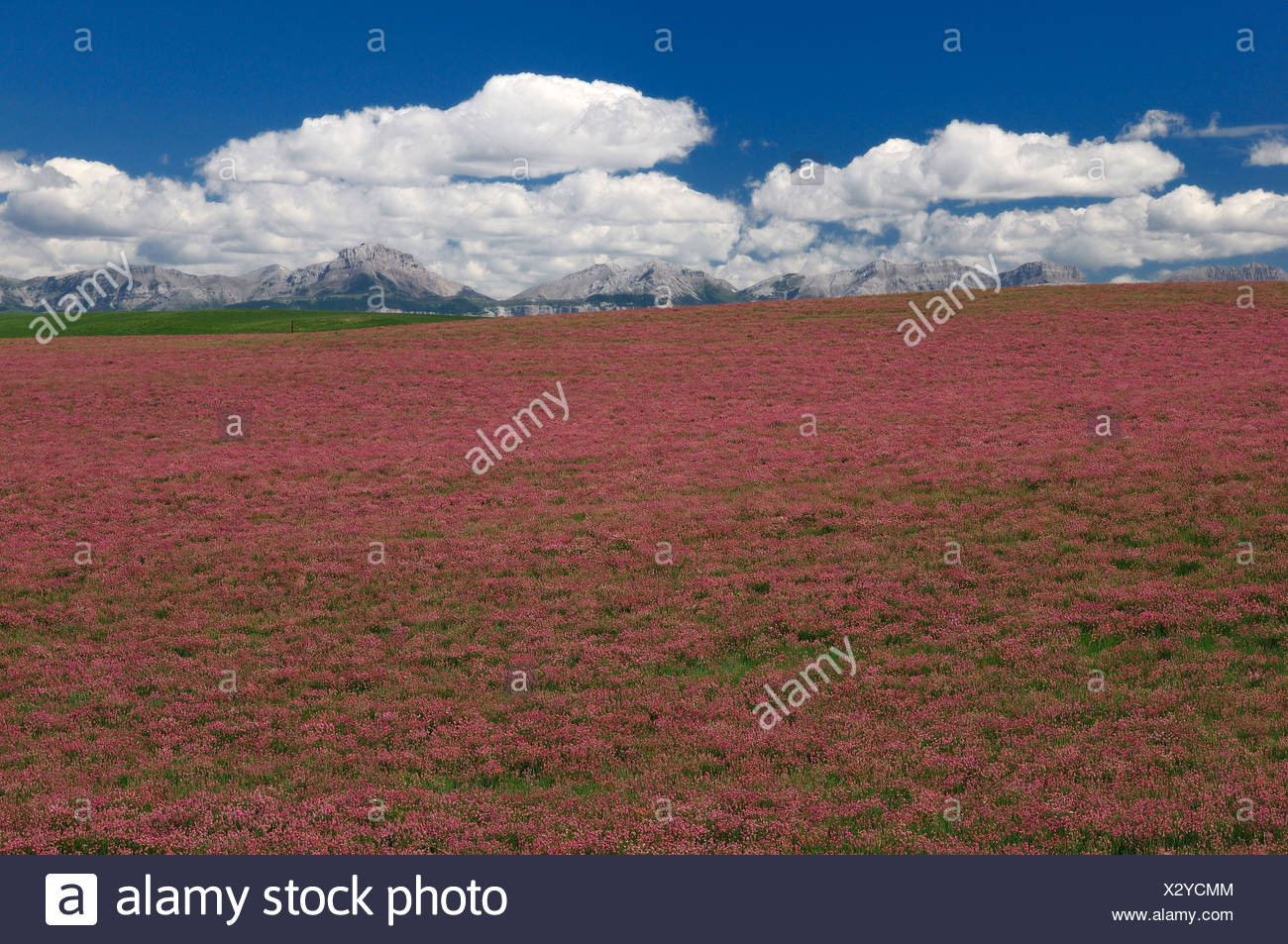 Choteau Montana Stock Photos & Choteau Montana Stock Images - Alamy