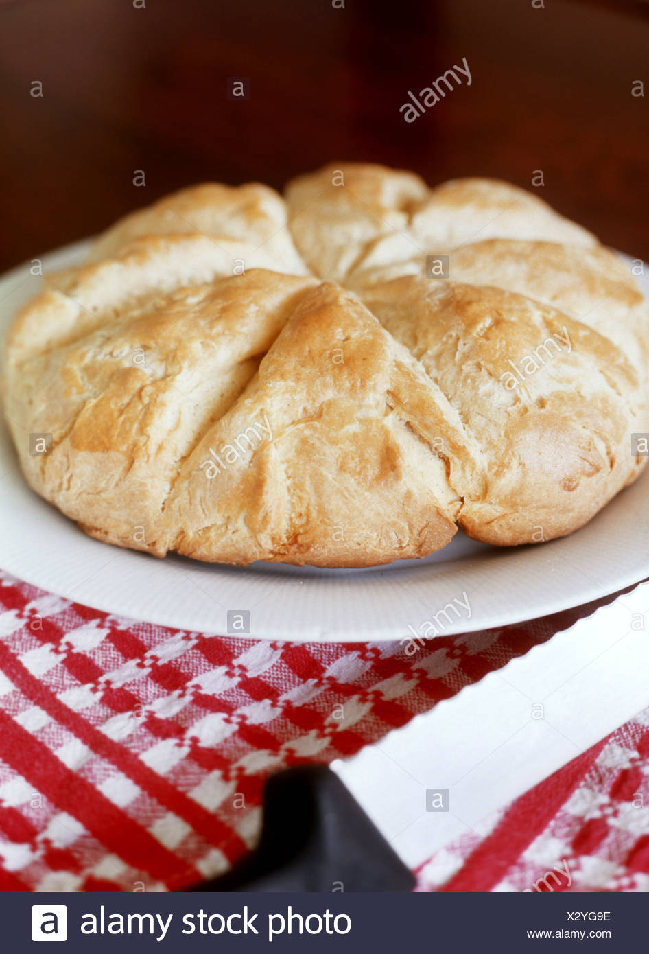 Australian Damper Stock Photos & Australian Damper Stock Images - Alamy