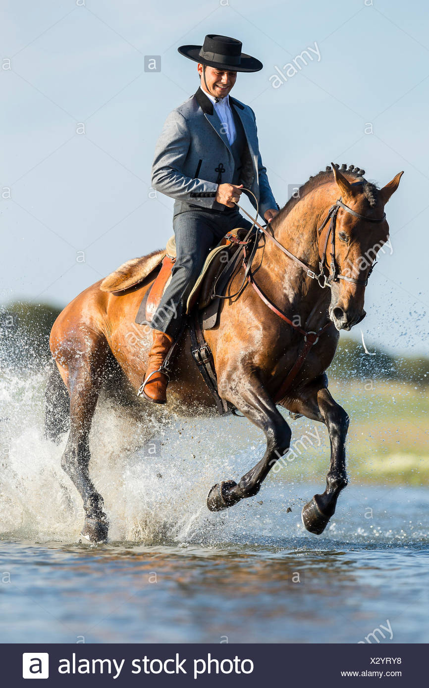 Riding Man And Stallion On Beach High Resolution Stock Photography and ...