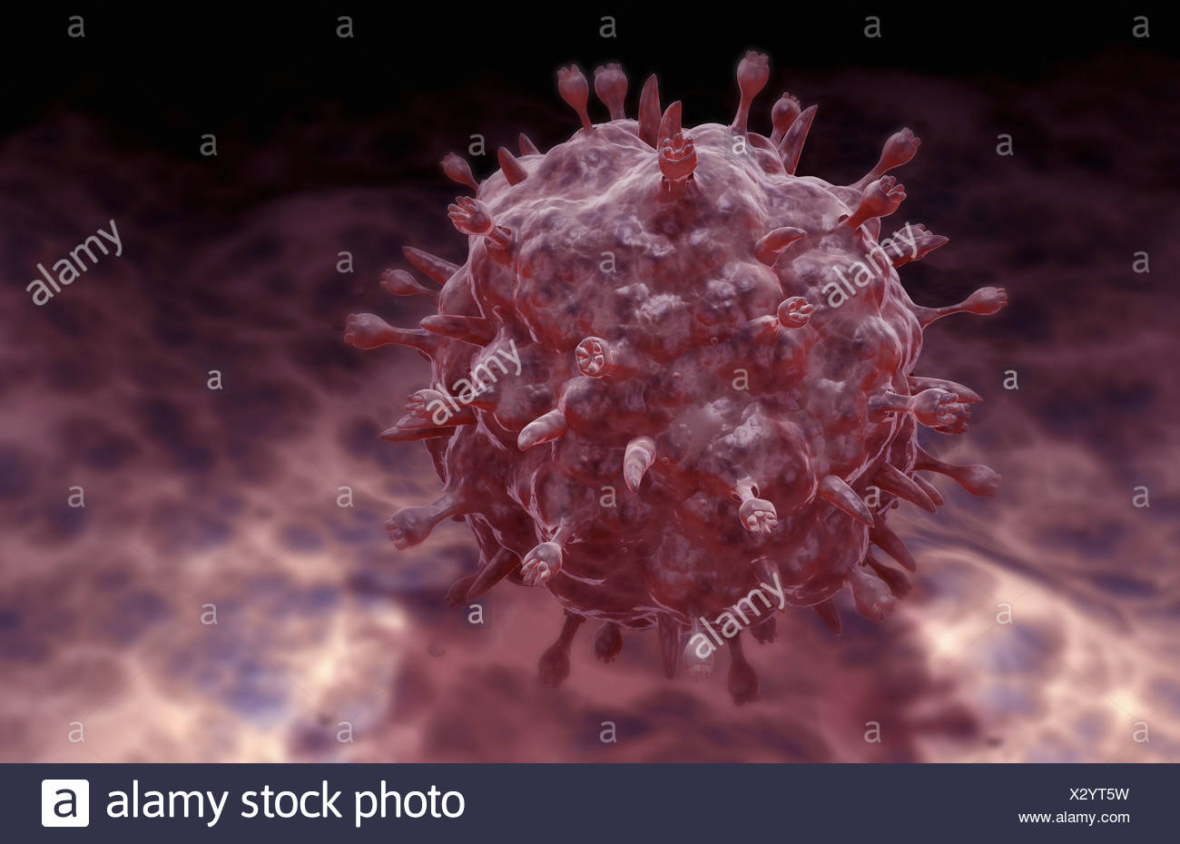 Enveloped Virus Stock Photos & Enveloped Virus Stock Images - Alamy