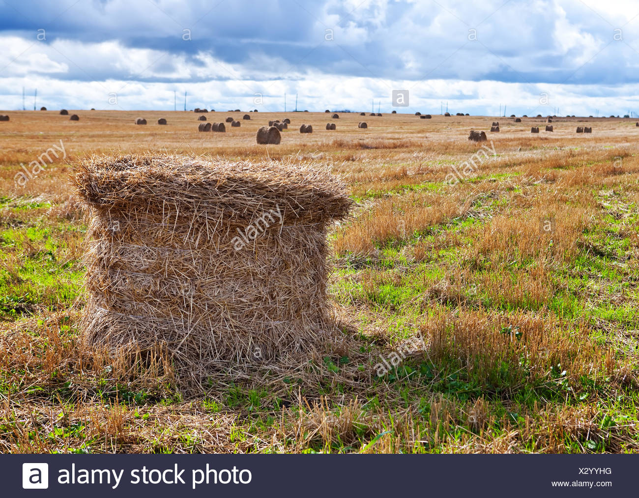 Corn Stacks Stock Photos & Corn Stacks Stock Images - Alamy
