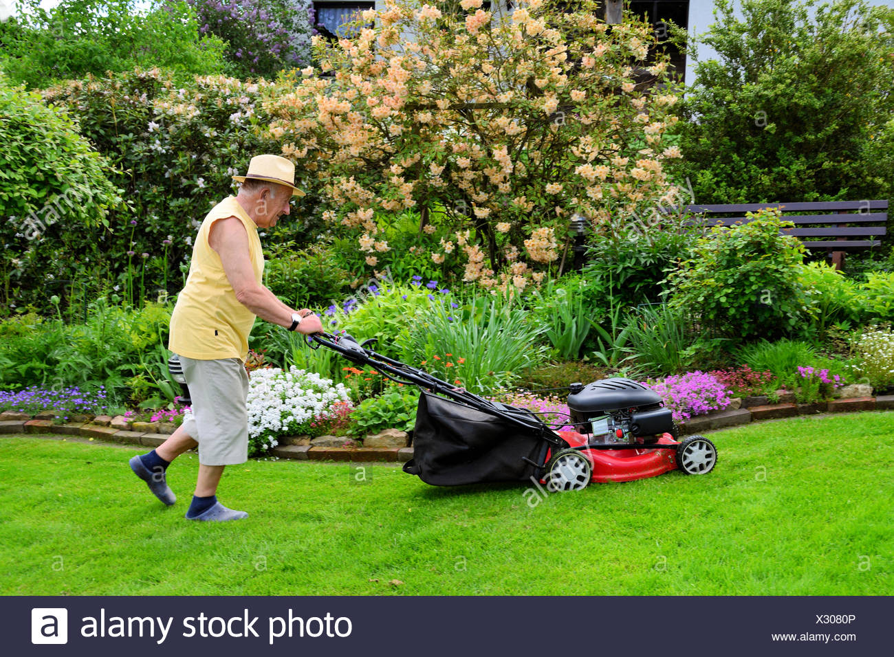 Mow The Lawn Stock Photos & Mow The Lawn Stock Images - Alamy