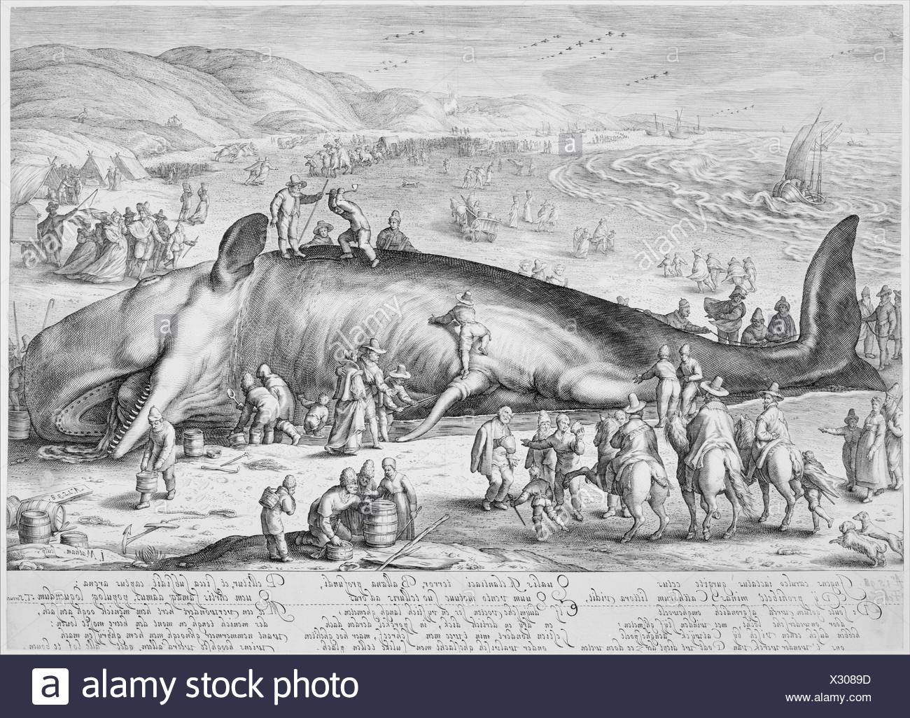 12 16 16 High Resolution Stock Photography and Images - Alamy