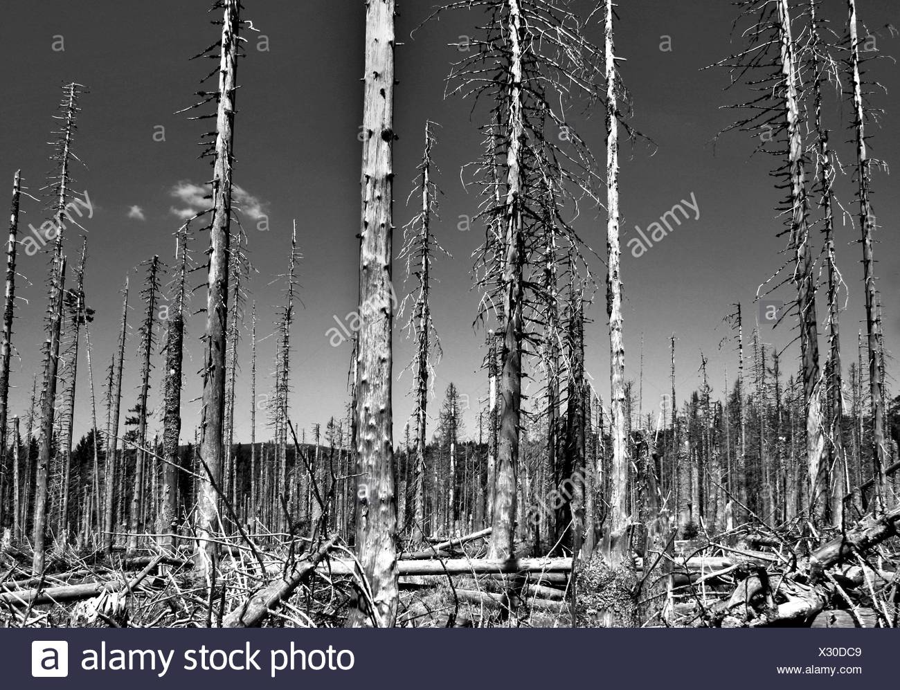 Environmental Pollution Black and White Stock Photos & Images - Alamy