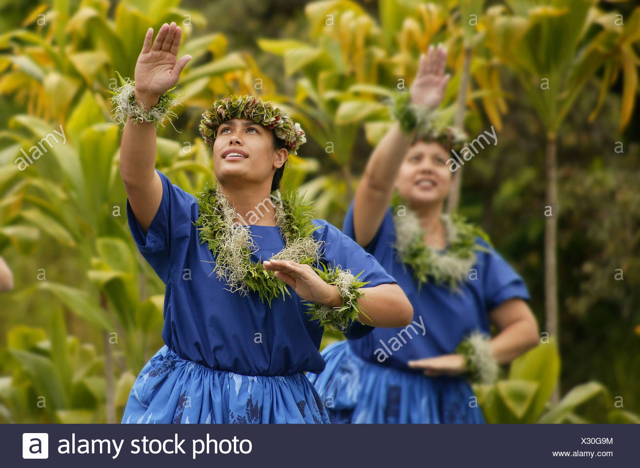 Kalili High Resolution Stock Photography and Images - Alamy