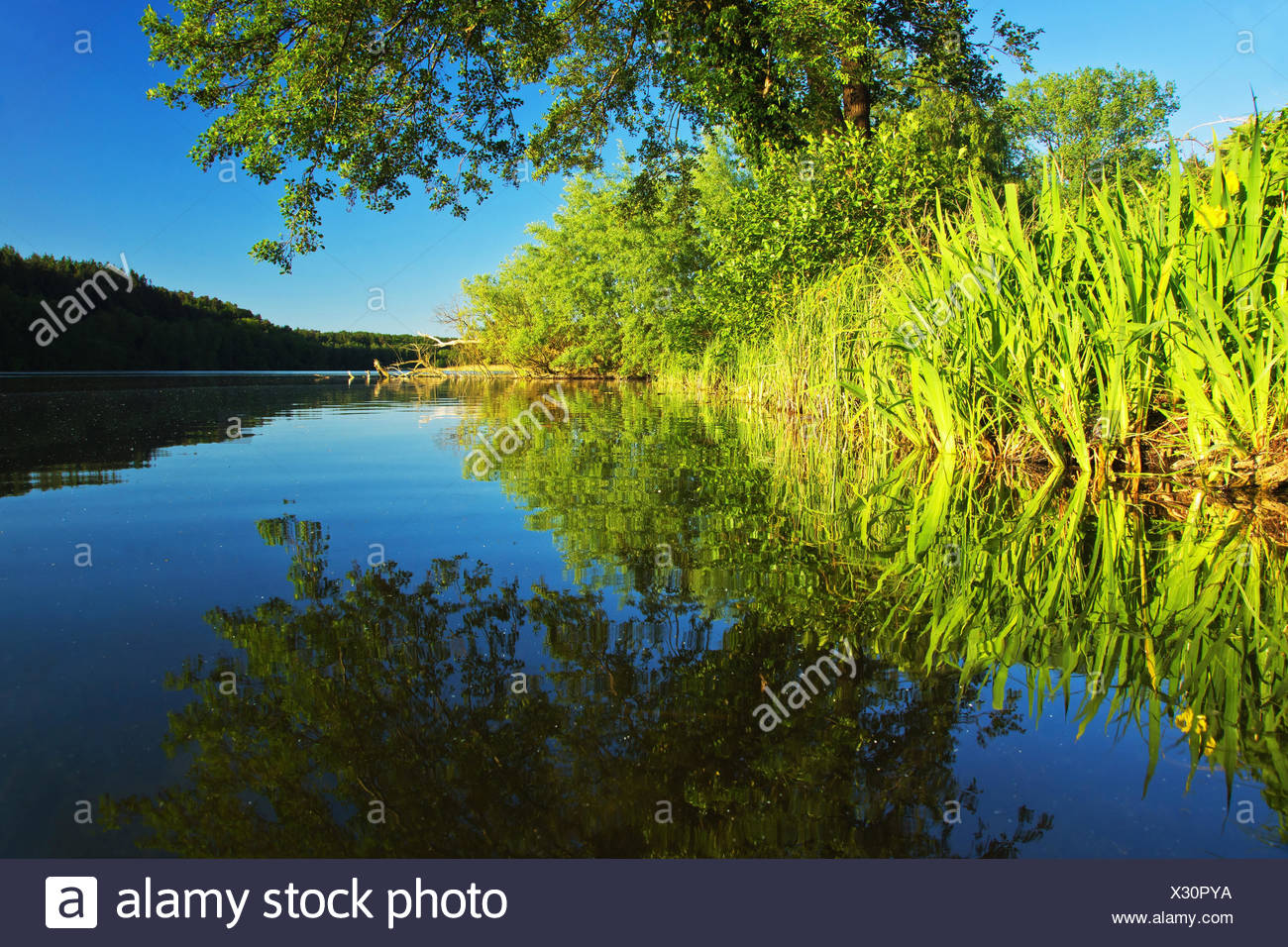 Salem Germany High Resolution Stock Photography and Images - Alamy