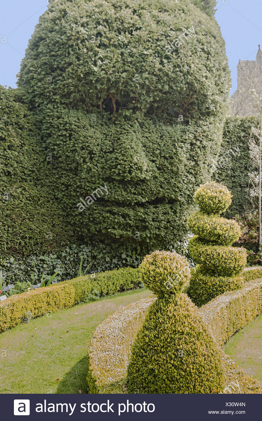 Topiary Face Stock Photos & Topiary Face Stock Images - Alamy