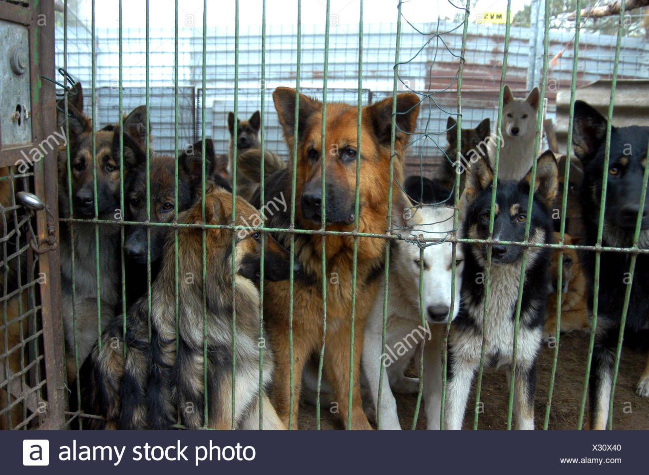 Compulsive Hoarding Stock Photos & Compulsive Hoarding Stock Images - Alamy