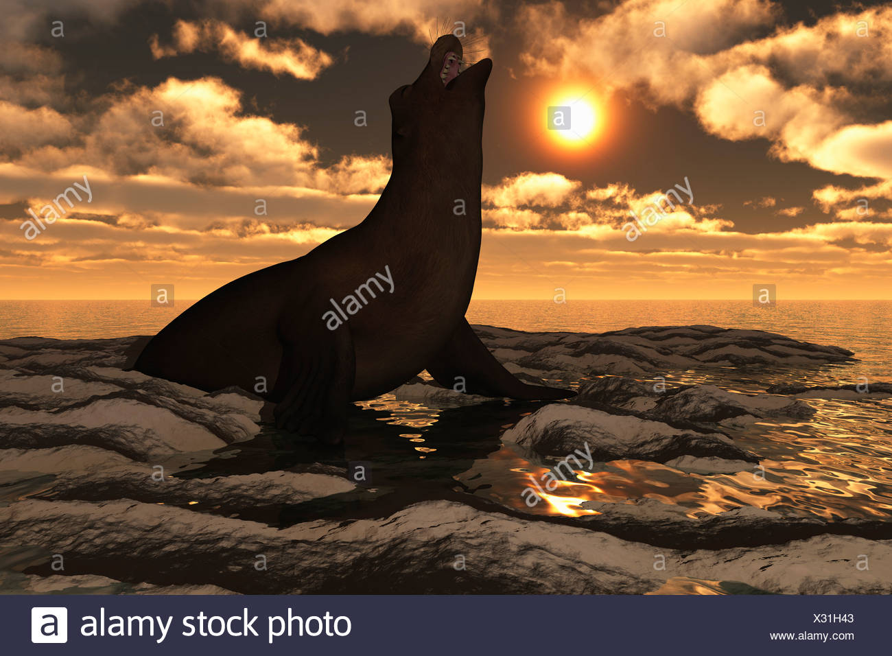 Illustrations Seal High Resolution Stock Photography and Images - Alamy
