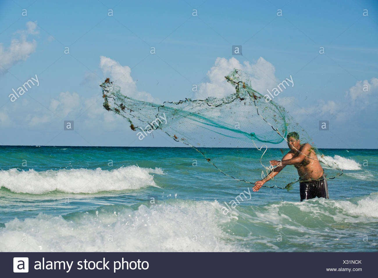 Surf The Net Stock Photos & Surf The Net Stock Images - Alamy