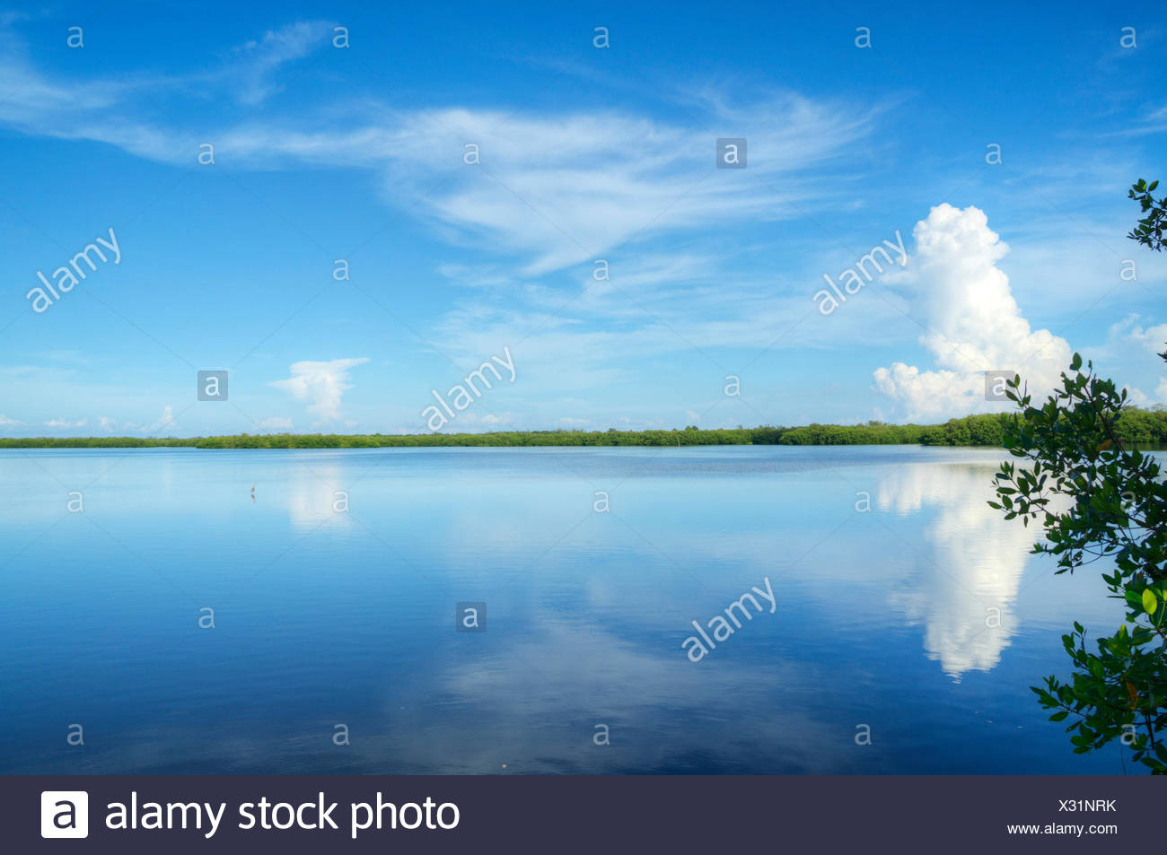 Istock Stock Photos & Istock Stock Images - Alamy