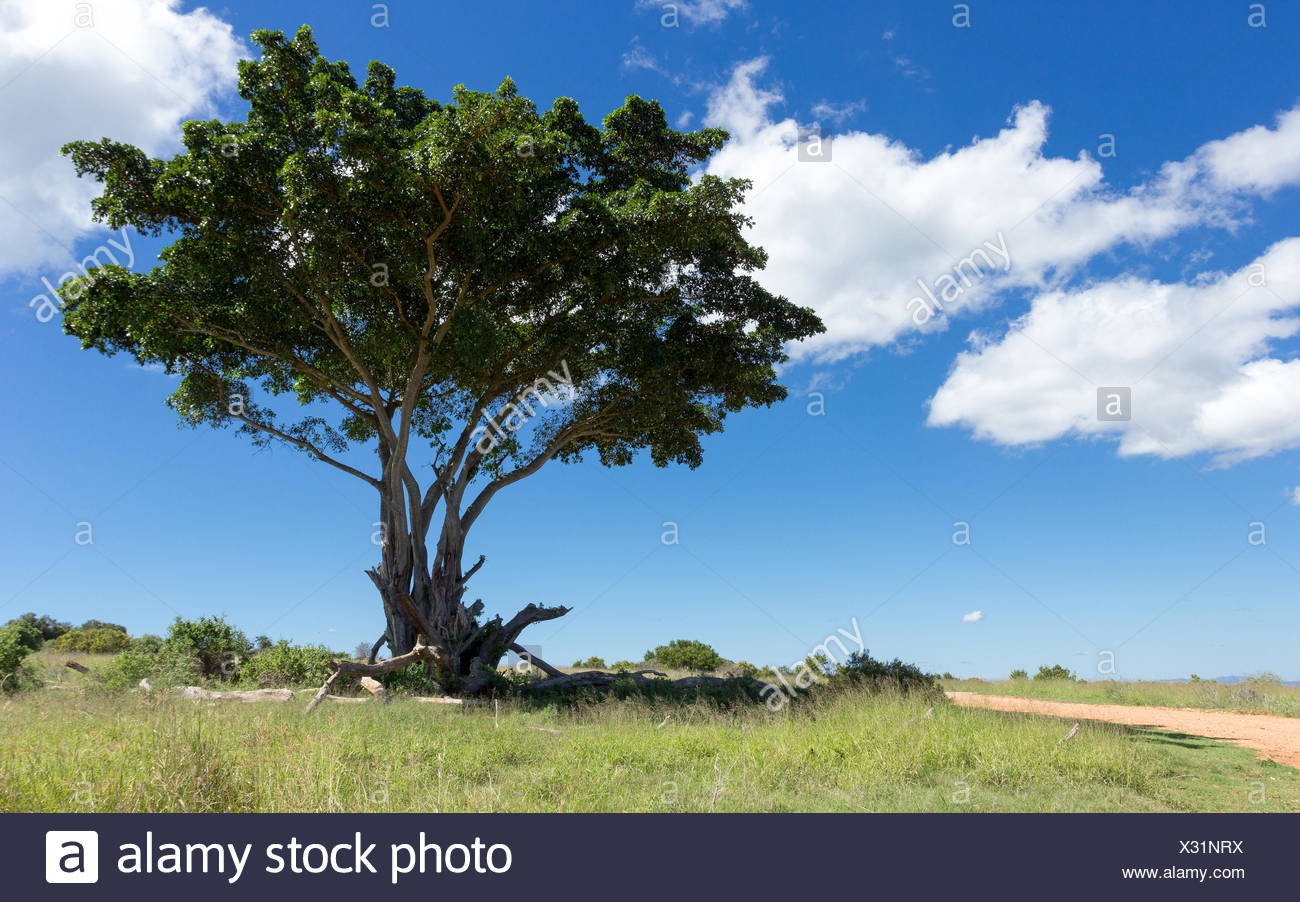 Kirkwood High Resolution Stock Photography and Images - Alamy