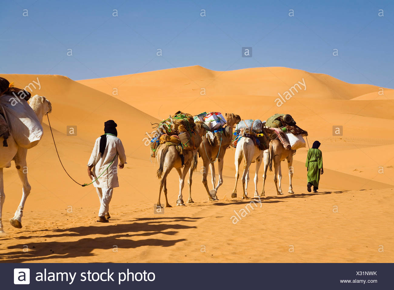 Libya Sahara Camel Camels High Resolution Stock Photography and Images ...