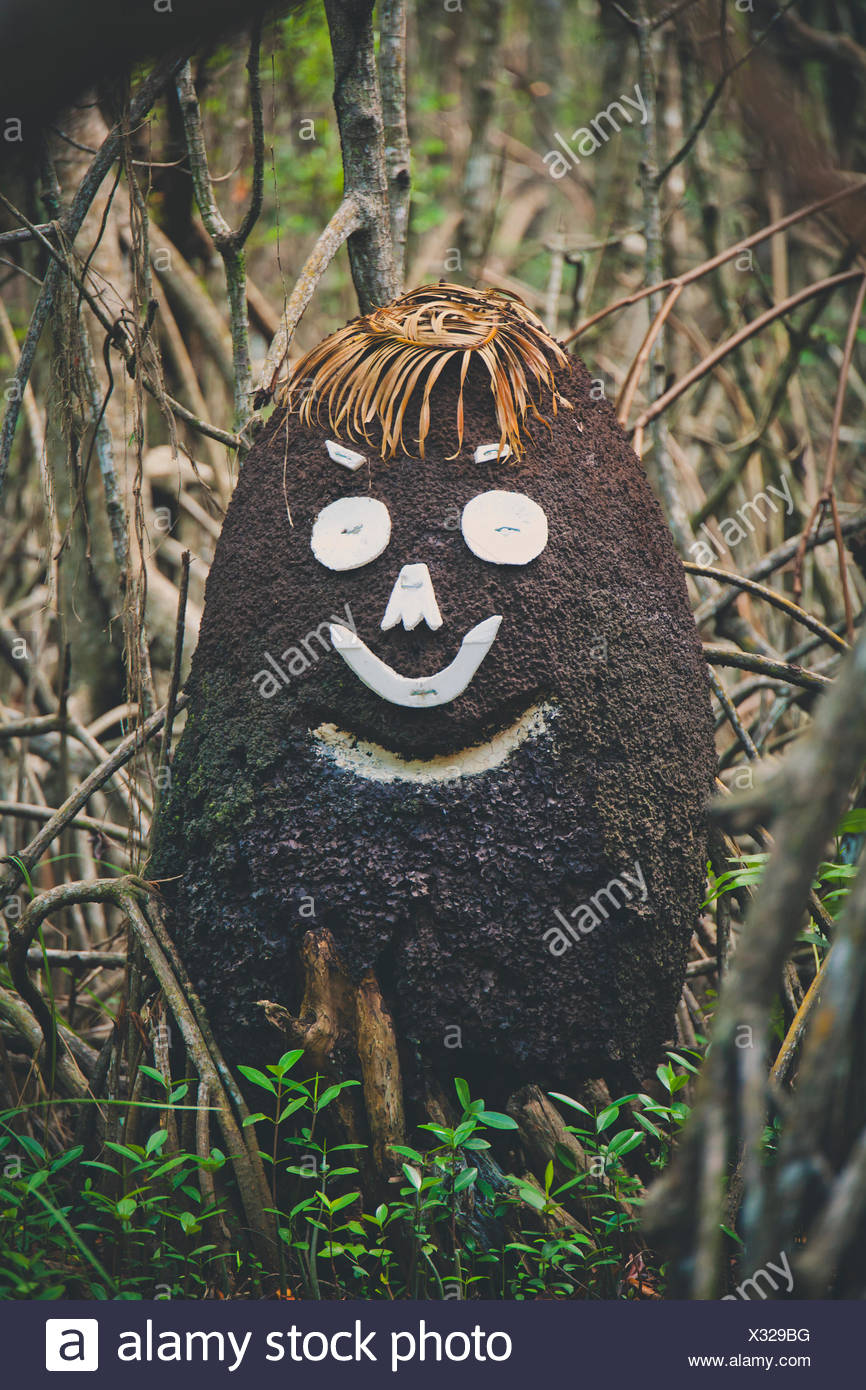 Human Features High Resolution Stock Photography and Images - Alamy