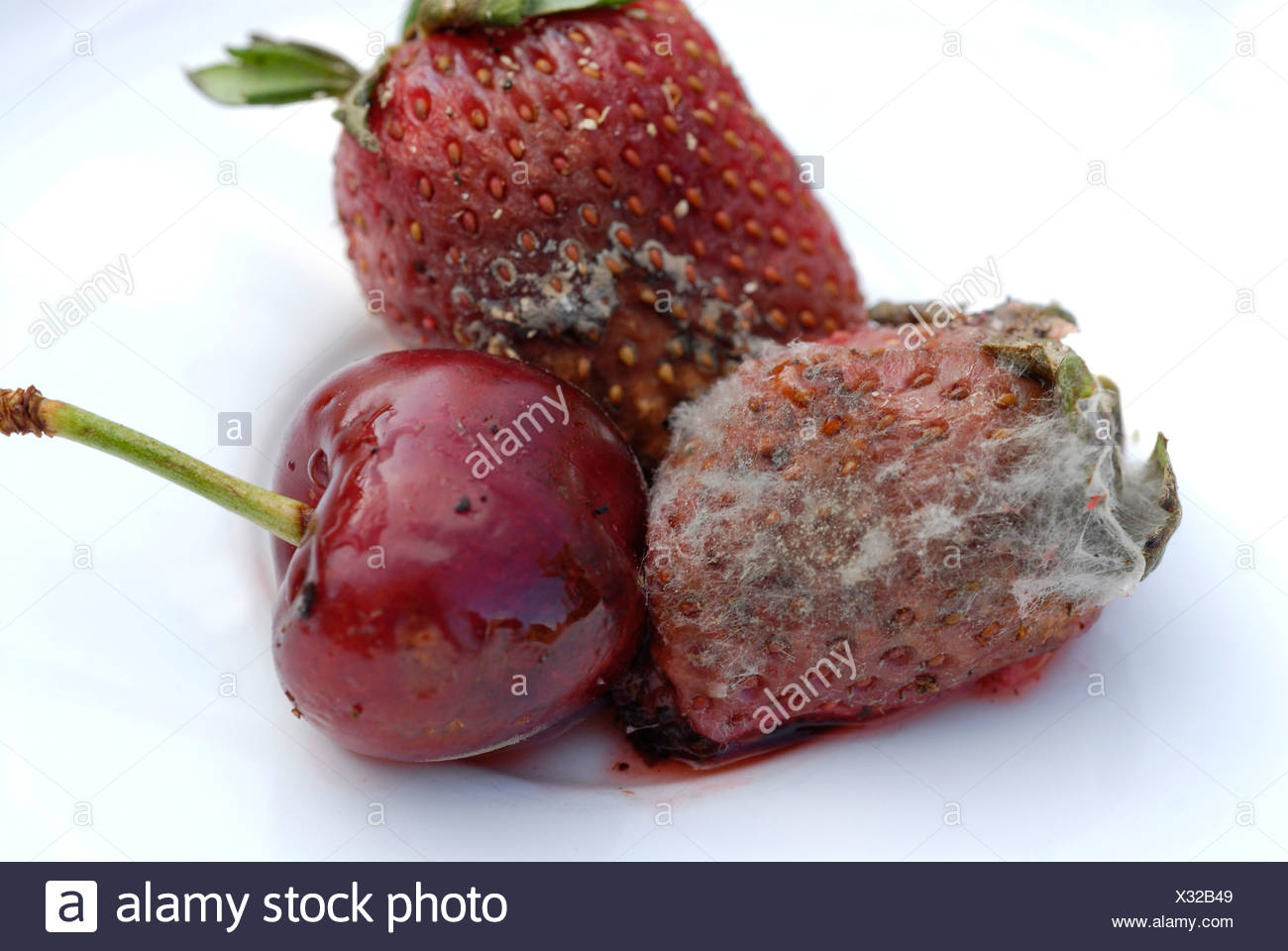 Mouldy Strawberries High Resolution Stock Photography and Images - Alamy