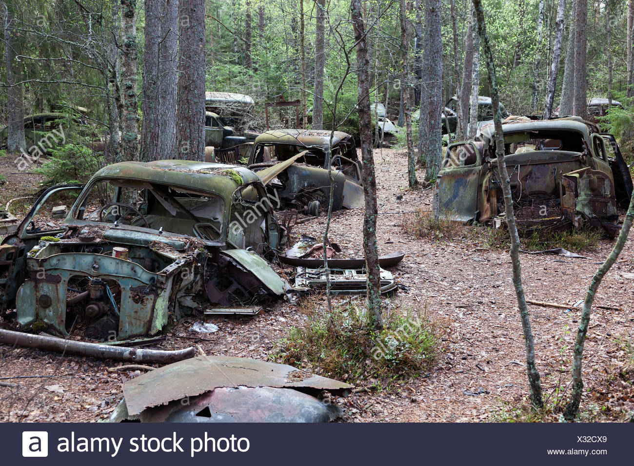Swedish Cemetery High Resolution Stock Photography and Images - Alamy