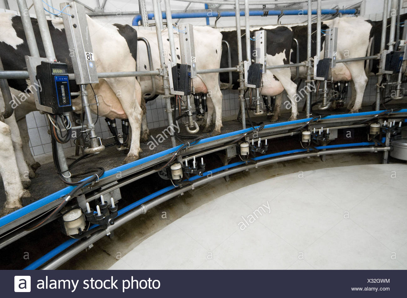Cows Milking Machine High Resolution Stock Photography and Images - Alamy