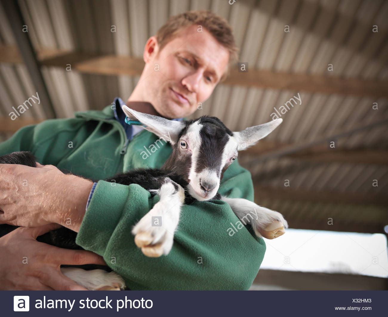 Man Holding Goat High Resolution Stock Photography and Images - Alamy