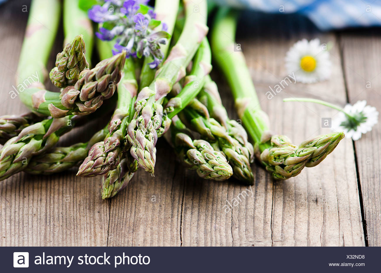 Asparagus Plant Flower Stock Photos & Asparagus Plant Flower Stock ...