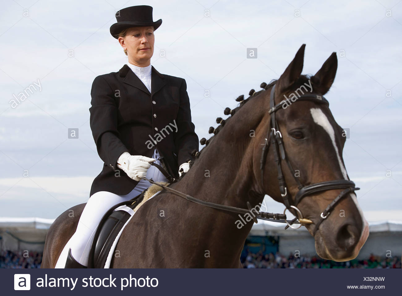 Female Dressage Rider High Resolution Stock Photography and Images - Alamy