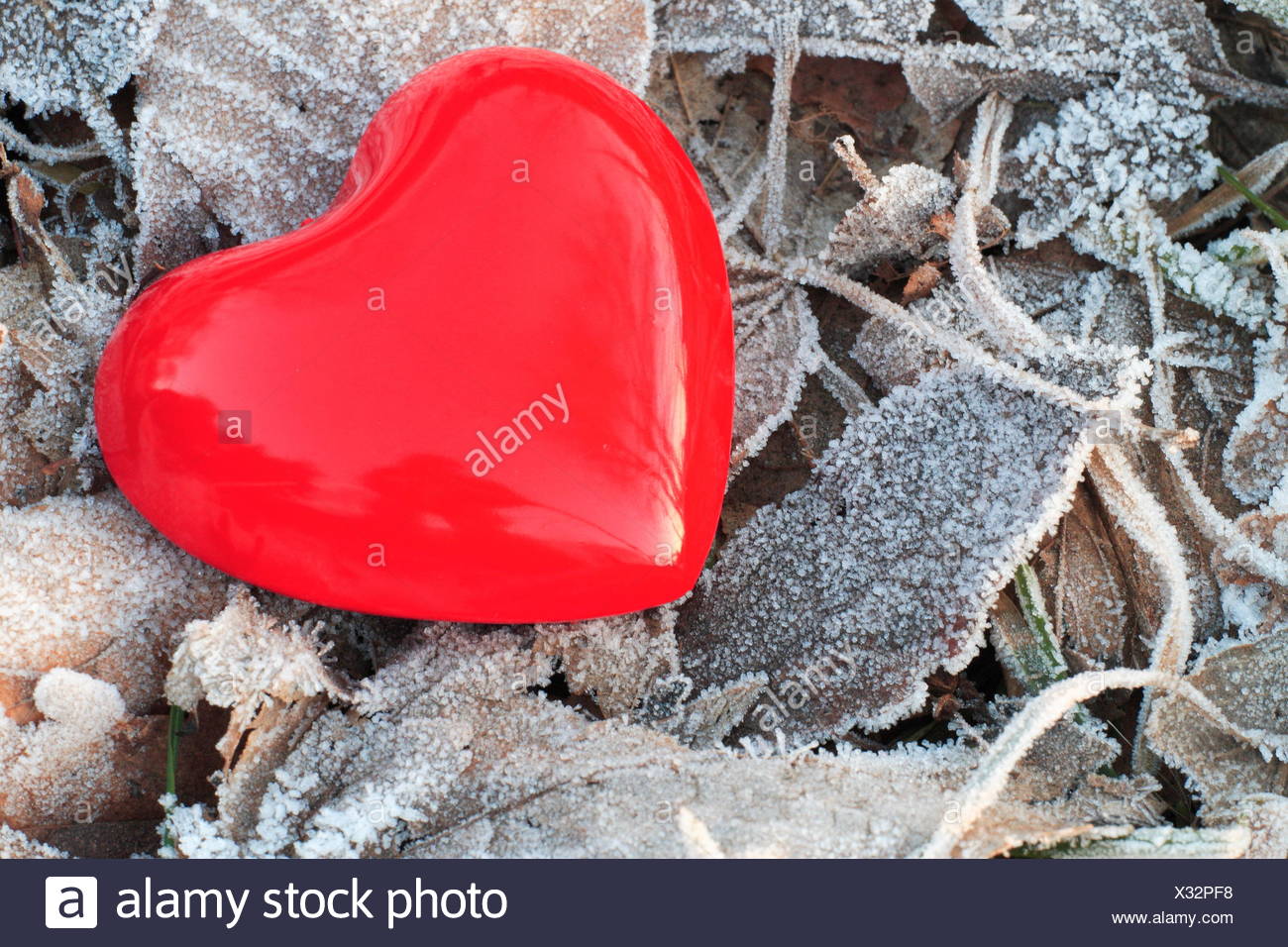 Cold Heart Stock Photos & Cold Heart Stock Images - Alamy