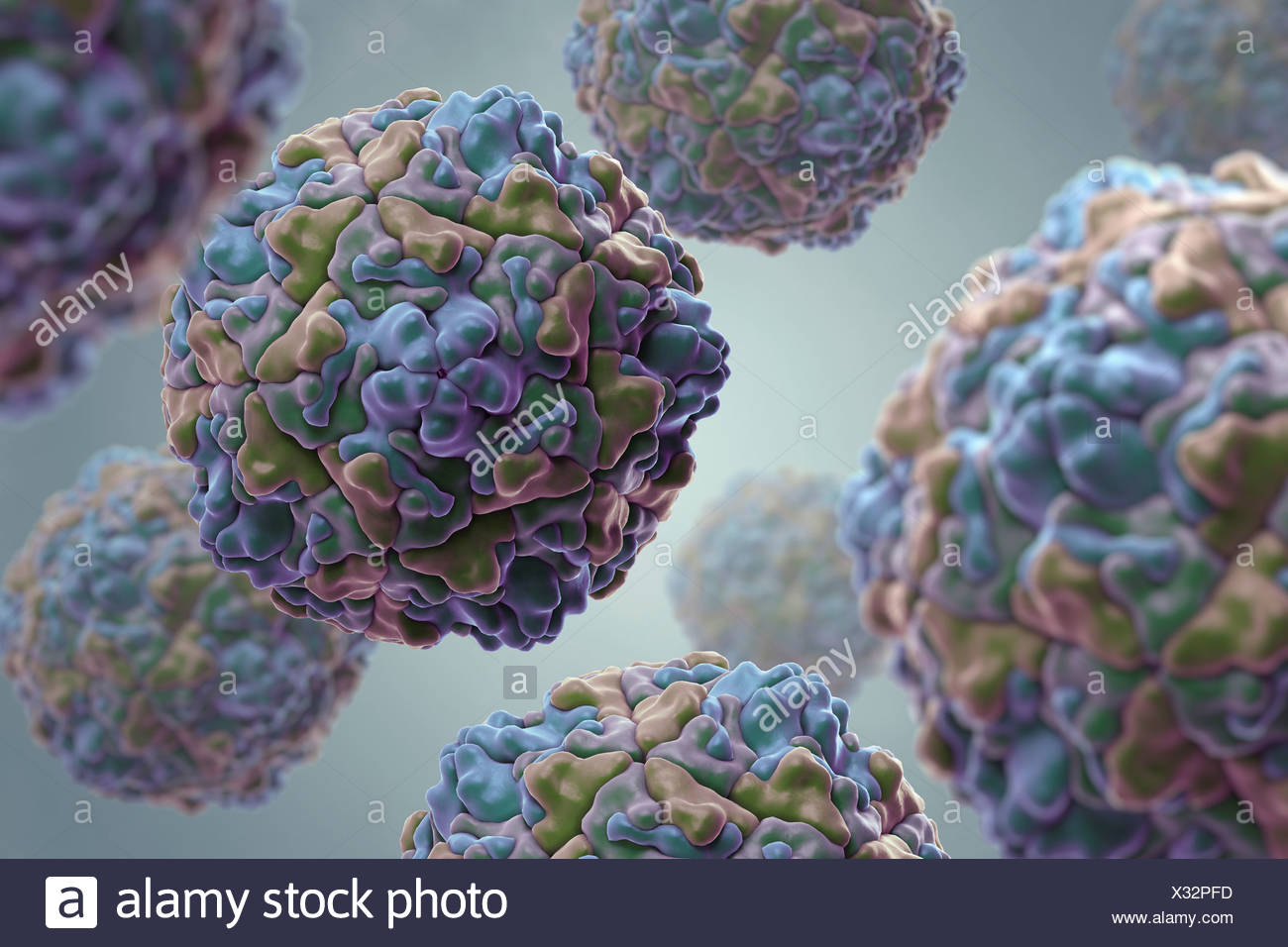 Picornaviridae Stock Photos & Picornaviridae Stock Images - Alamy