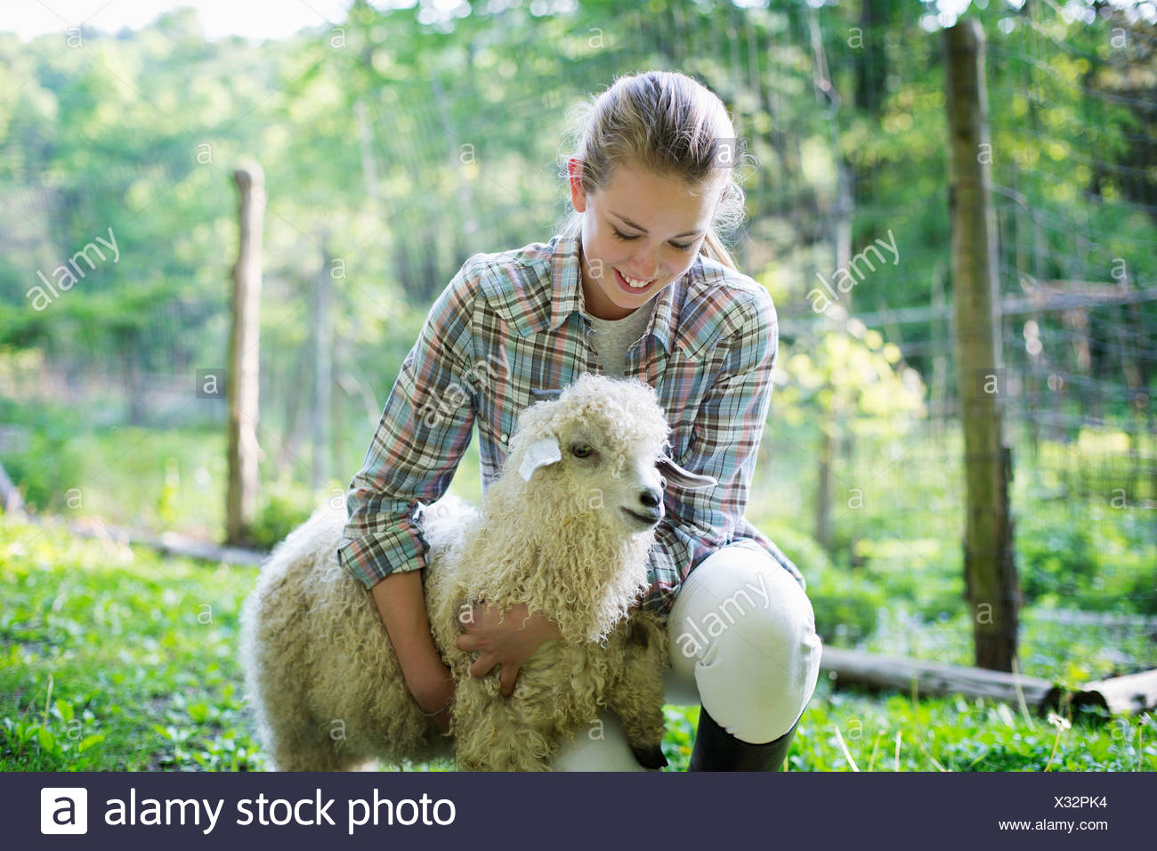 Goat Of Arms High Resolution Stock Photography and Images - Alamy