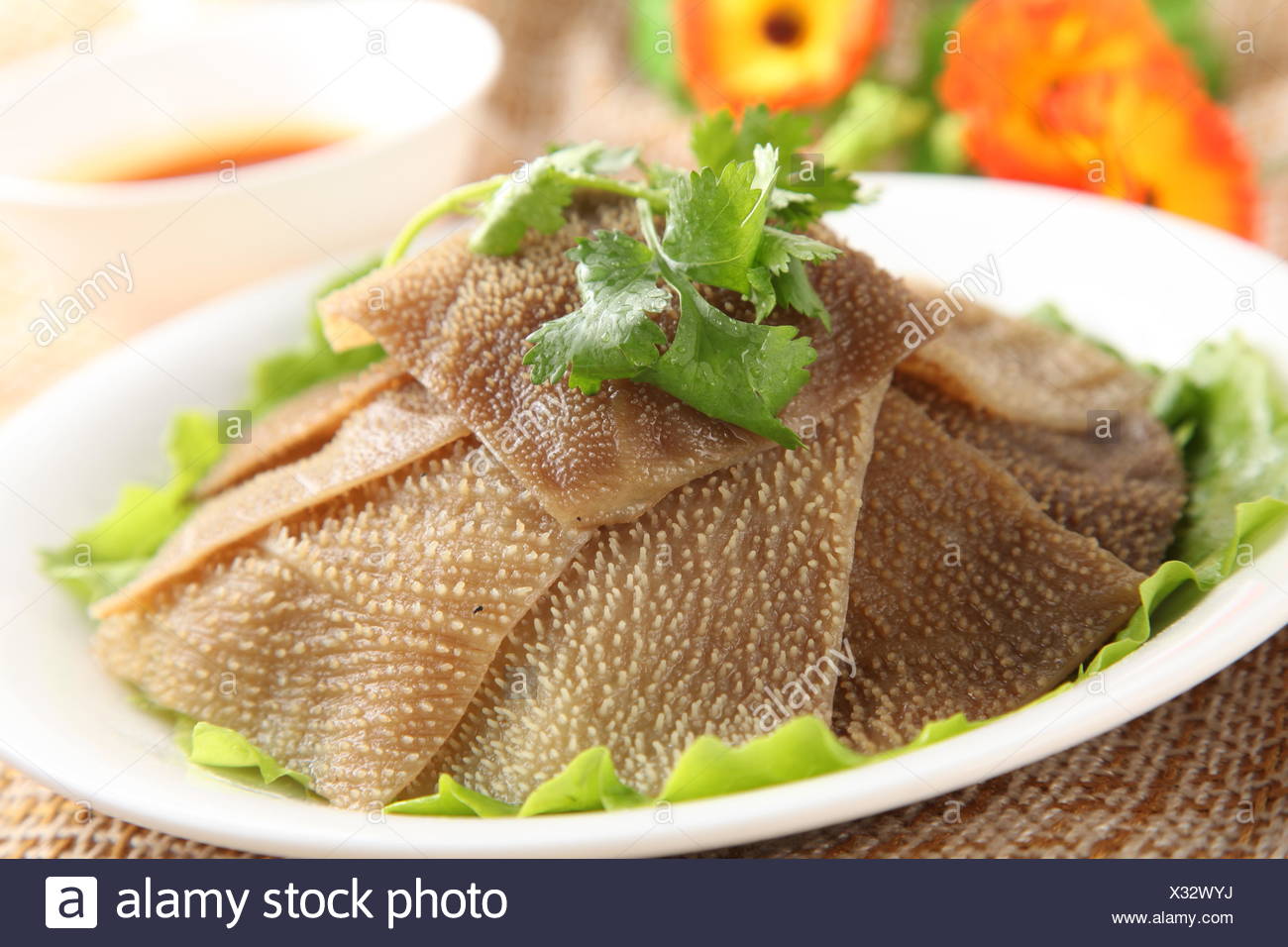 The Omasum Stock Photos & The Omasum Stock Images - Alamy