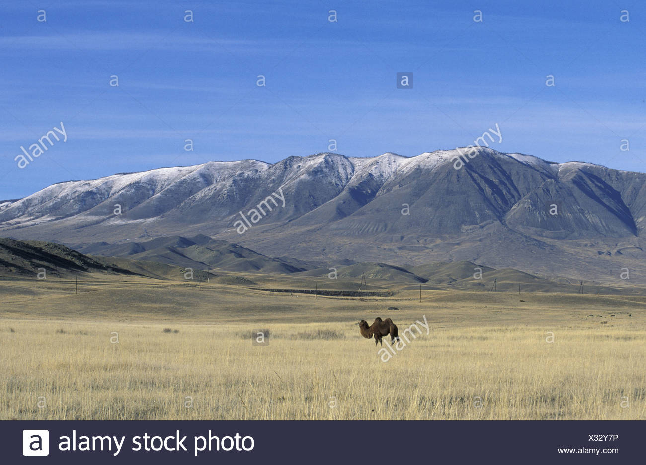 Tuva Stock Photos & Tuva Stock Images - Alamy