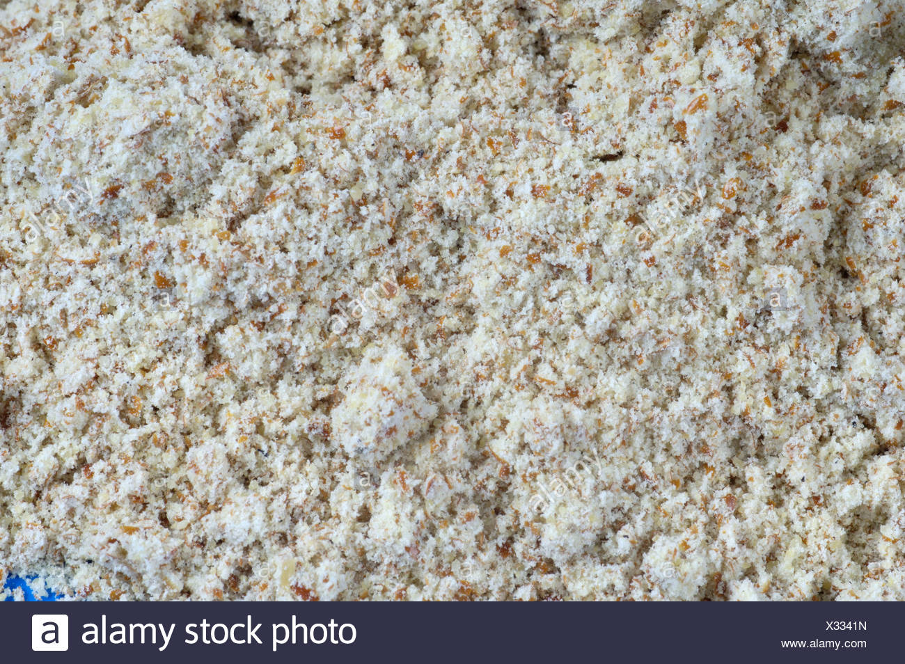 Browntop Millet High Resolution Stock Photography and Images - Alamy