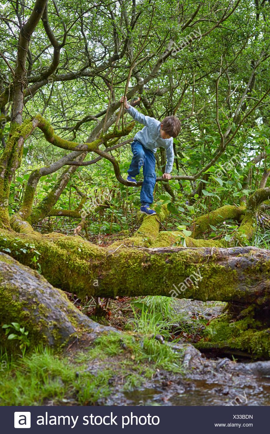 Boy Climbing Tree High Resolution Stock Photography and Images - Alamy