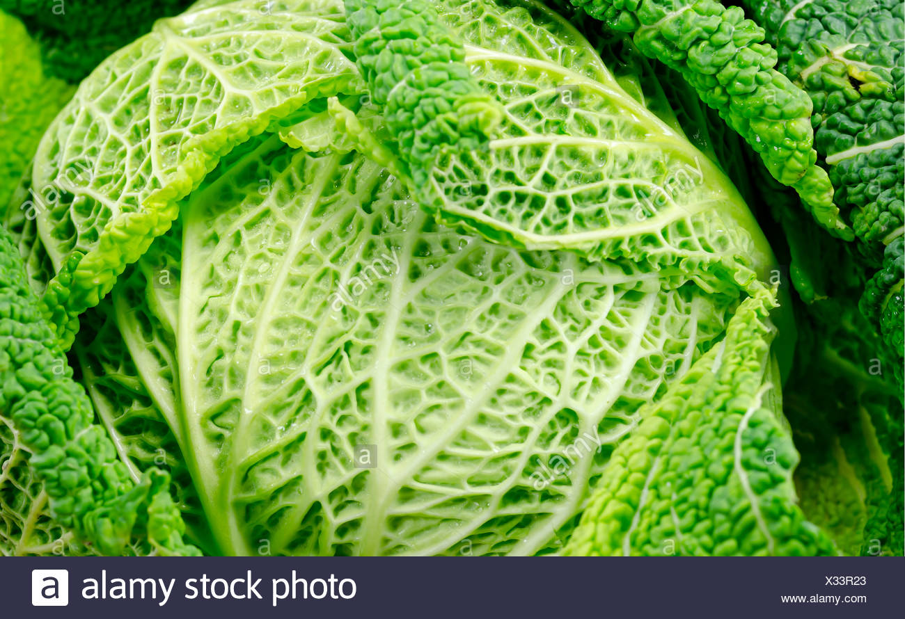 Crinkly Cabbage Stock Photos & Crinkly Cabbage Stock Images - Alamy