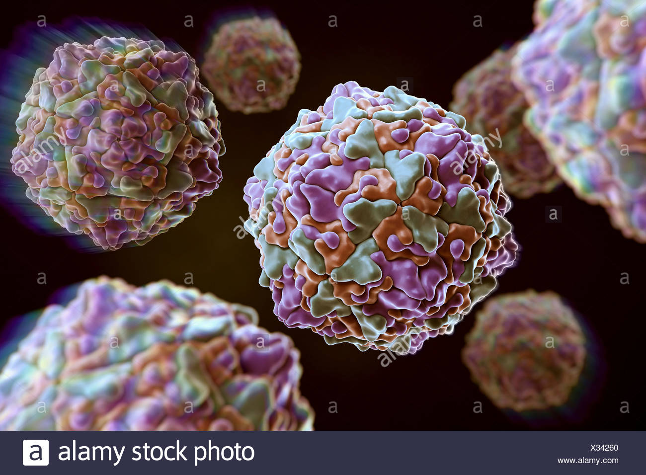 Coxsackie B Stock Photos & Coxsackie B Stock Images - Alamy