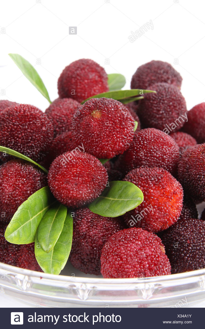 Bayberry Stock Photos & Bayberry Stock Images - Alamy