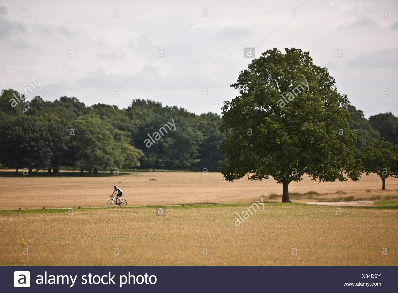 London Cycling Route High Resolution Stock Photography and Images - Alamy
