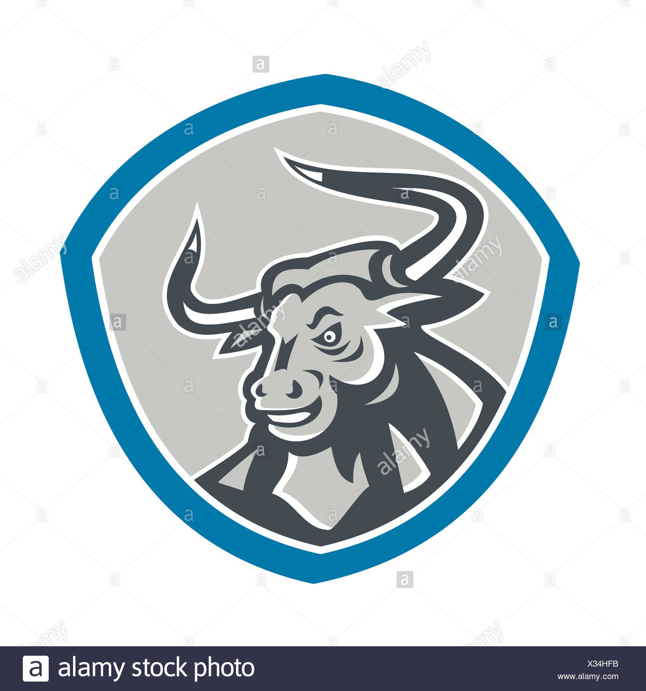 Bull Head Facing High Resolution Stock Photography and Images - Alamy