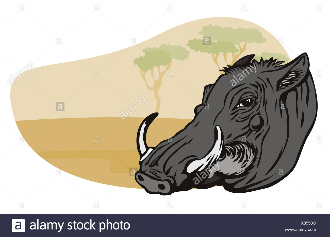 Warthog Head Stock Photos & Warthog Head Stock Images - Alamy