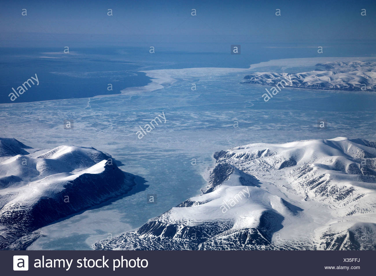 Bylot Stock Photos & Bylot Stock Images - Alamy