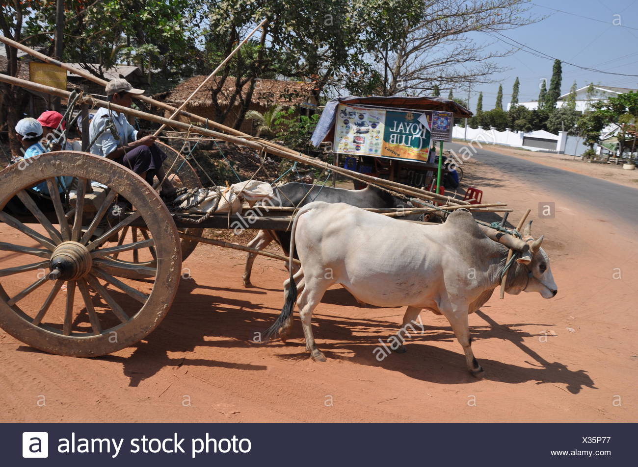 Oxcart Stock Photos & Oxcart Stock Images - Alamy