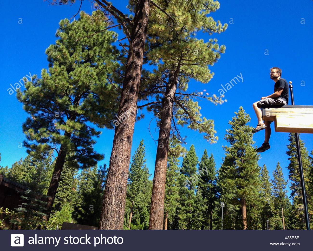 Man Sitting Against Tree Trunk High Resolution Stock Photography and ...