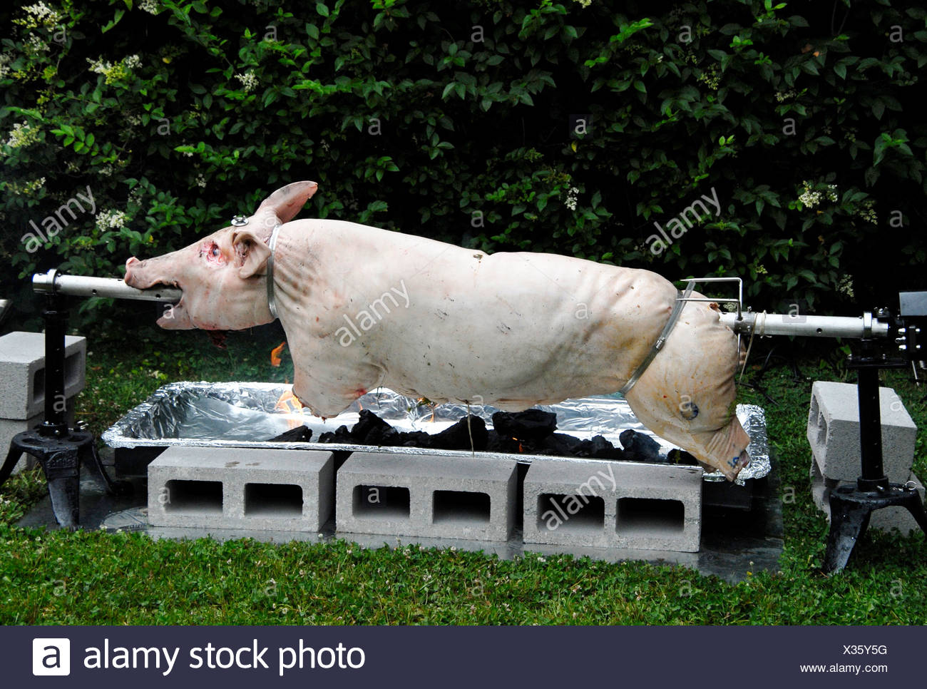 Pig On Spit Hog Roast Stock Photos & Pig On Spit Hog Roast Stock Images ...