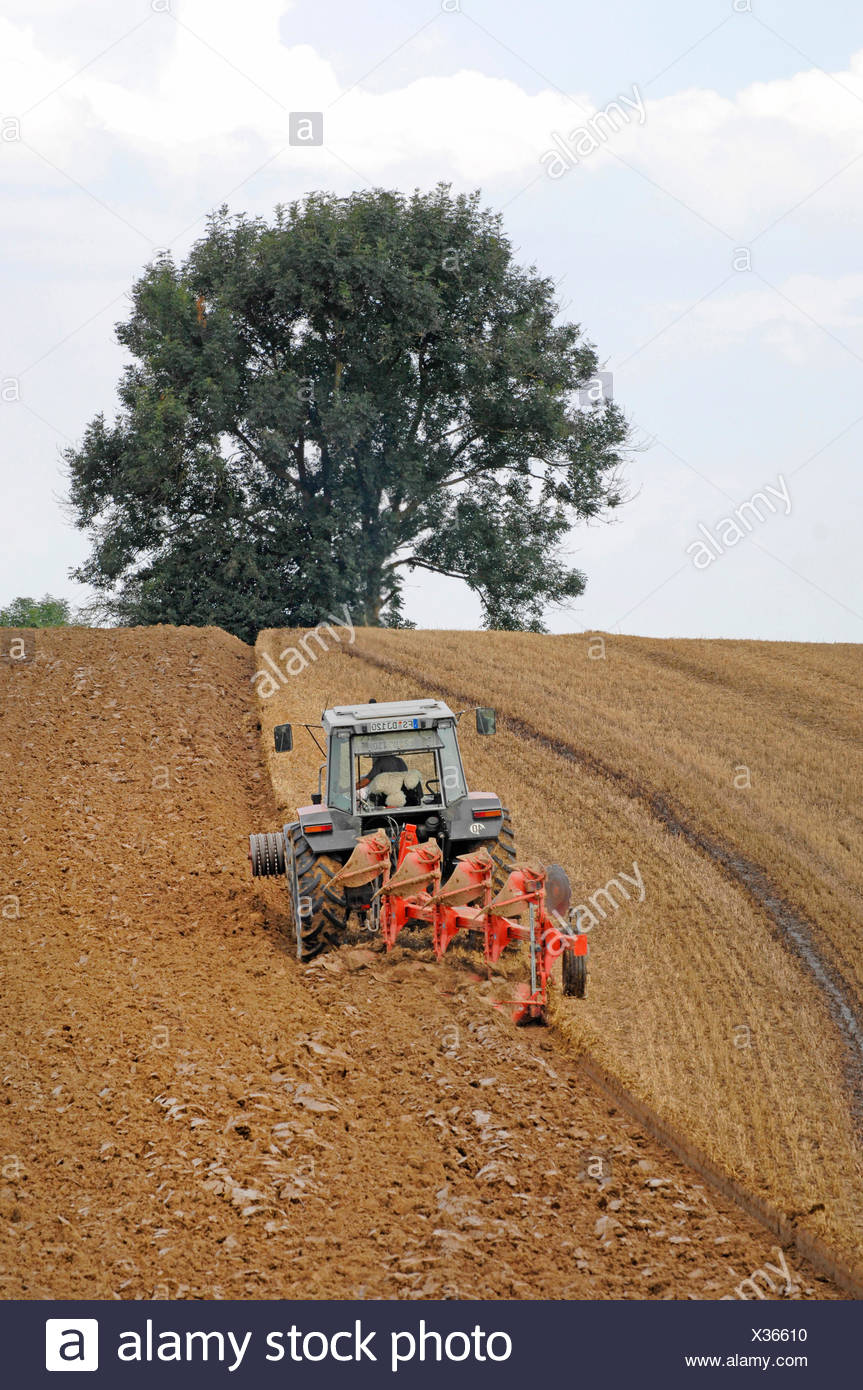 Plough Share High Resolution Stock Photography and Images - Alamy