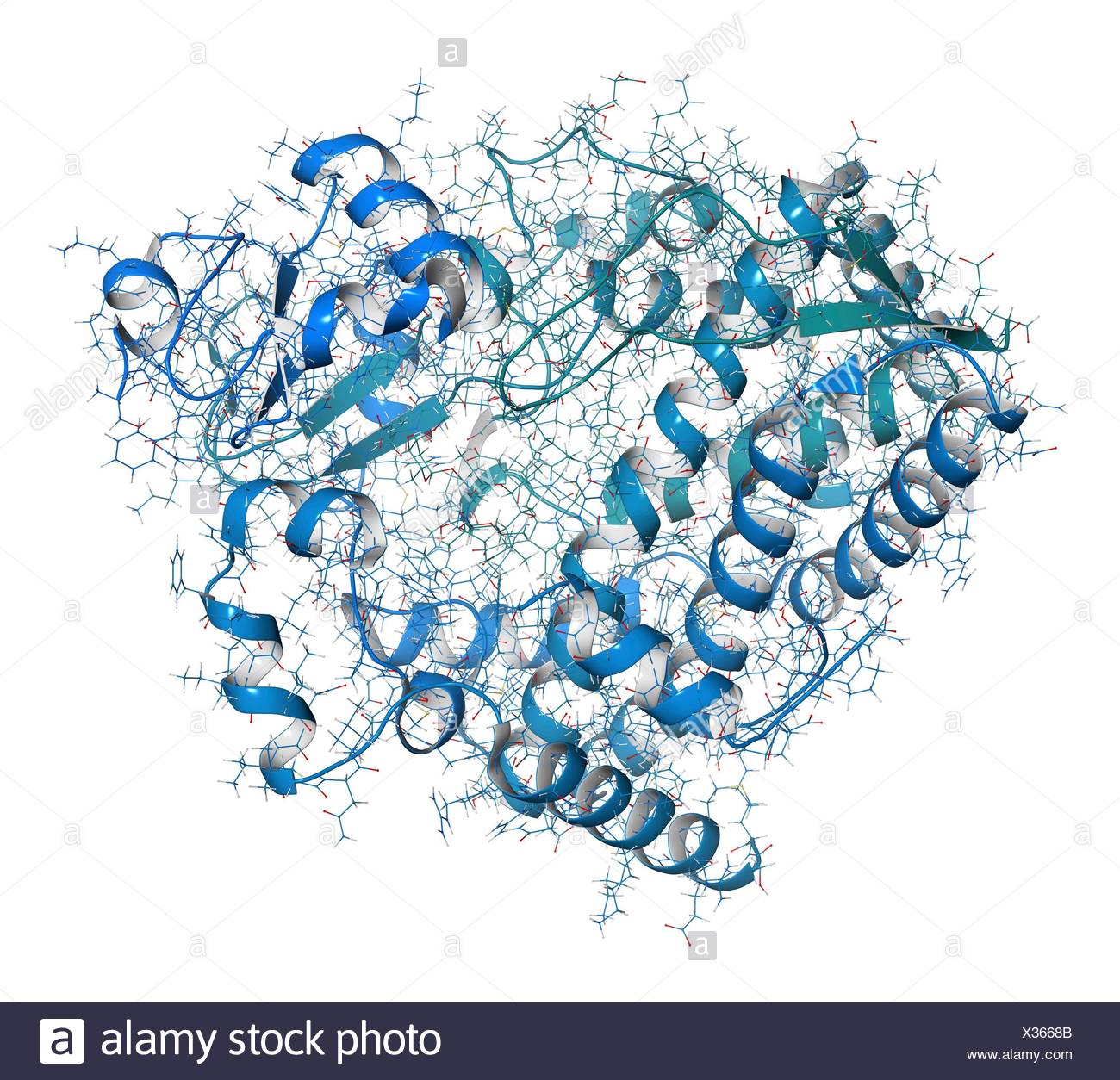 Enzyme Substrate Complex High Resolution Stock Photography and Images ...