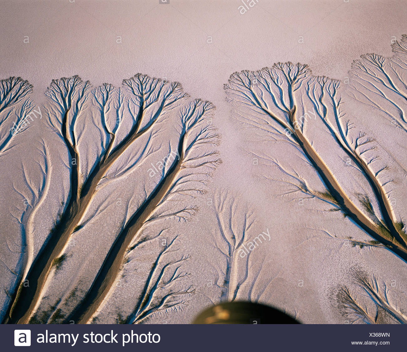 Colorado River Delta Mexico High Resolution Stock Photography and ...