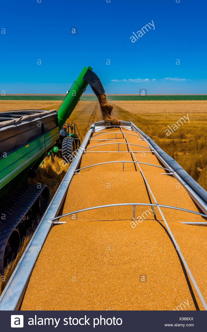 Grain Trailer High Resolution Stock Photography and Images - Alamy