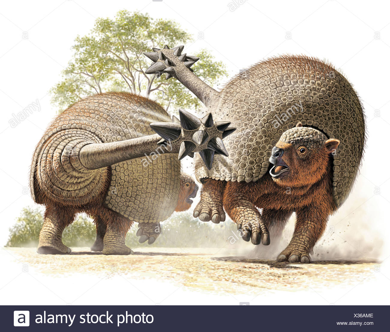 Glyptodonts Stock Photos & Glyptodonts Stock Images - Alamy